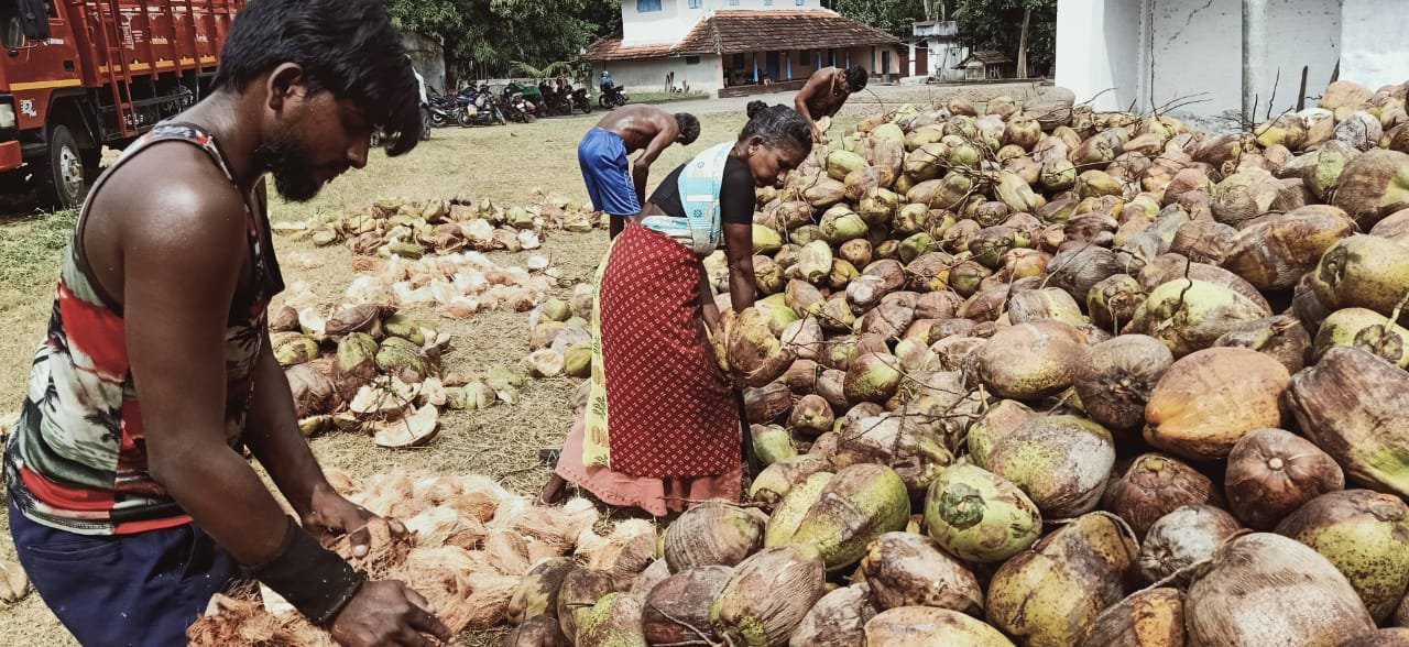 Upaya Social Ventures invests in FreshNet Farms, a Tamil Nadu-based ...