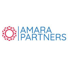 Venture Capital Job - Pre-MBA Analyst - Amara Partners - The Story Watch