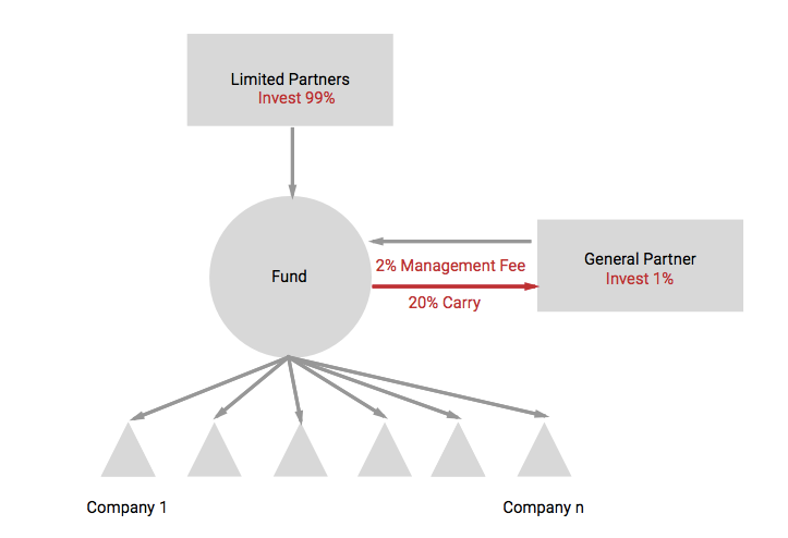 VC Carry Calculator - The Story Watch